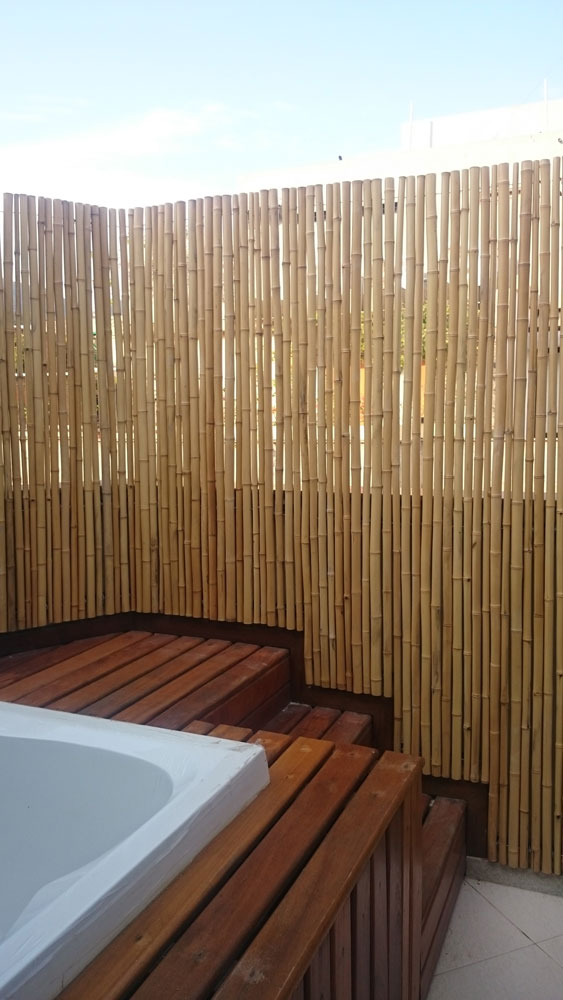 Cercas de Bambu - Bambu Rei