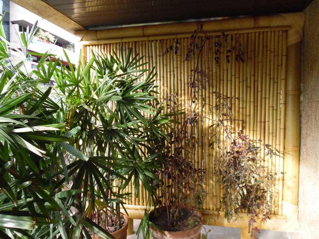 Painéis de Bambu - Bambu Rei